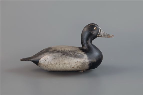 Robert Elliston | Bluebill Drake | MutualArt