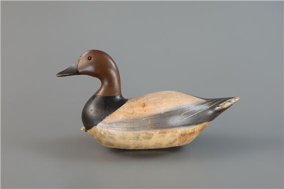 Charles Bergman | Rare Canvasback Drake | MutualArt