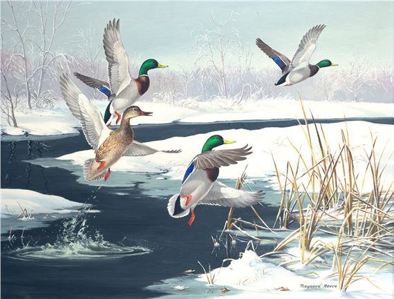 Maynard Reece | Mallards in Winter | MutualArt