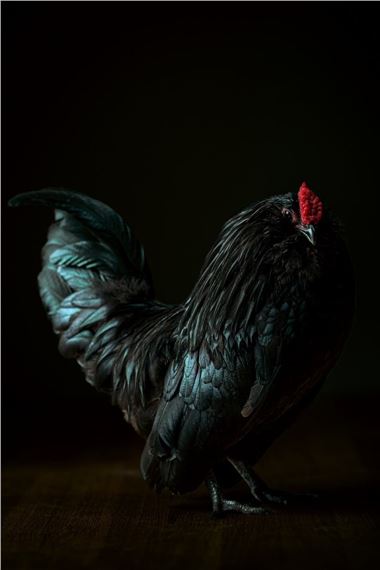 Since | Unit Stills (2010) | MutualArt