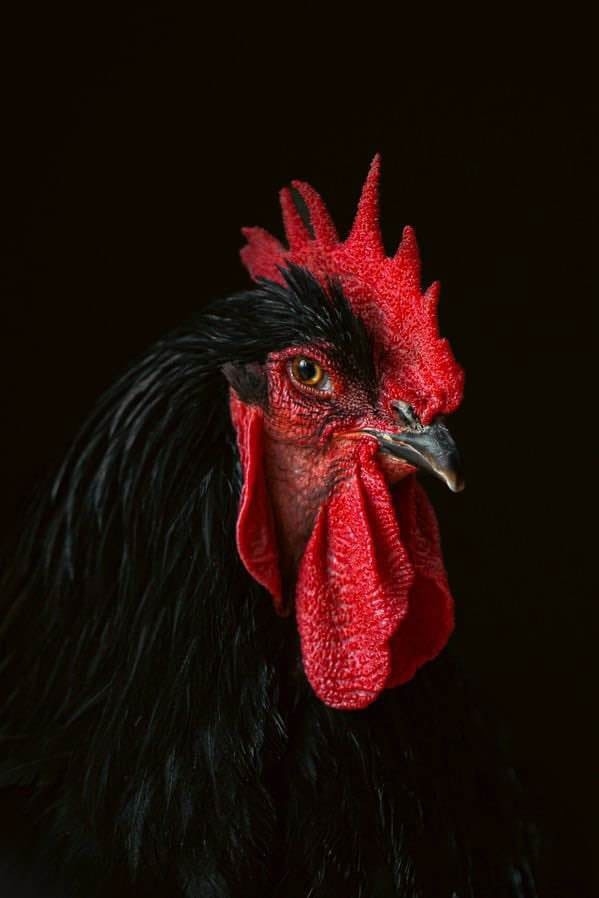 Since | Unit Stills (2010) | MutualArt