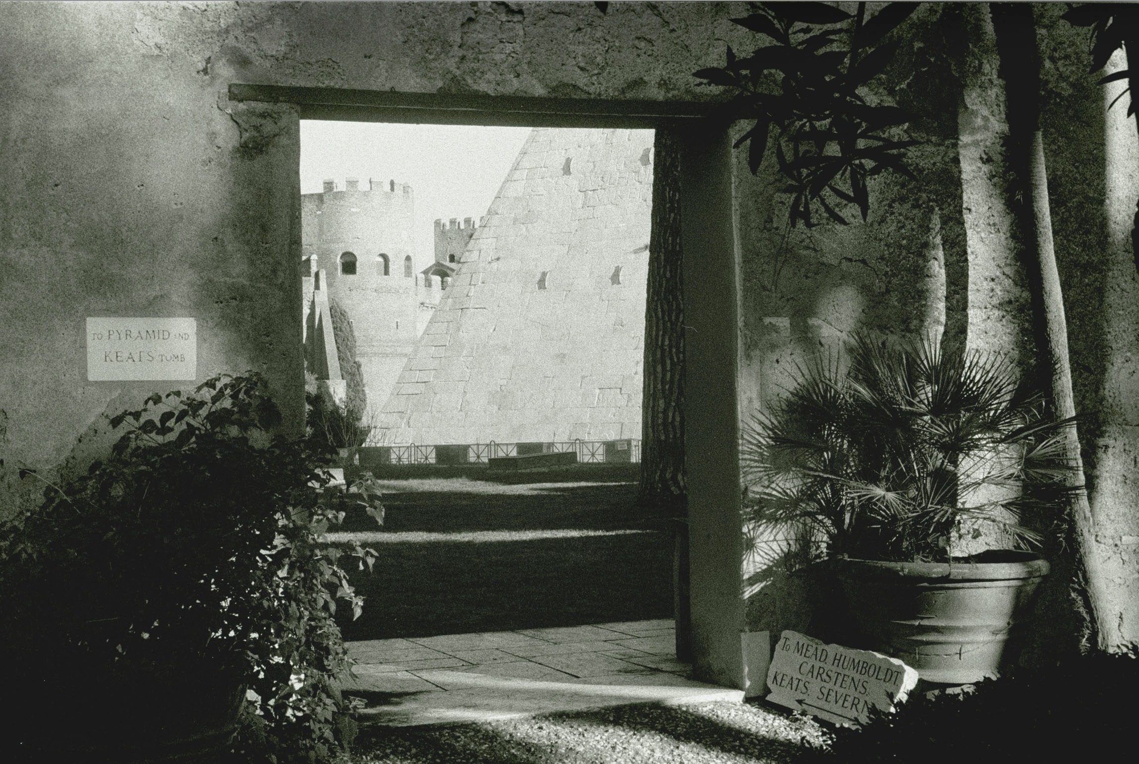 Dan Welldon | Protestant Cemetery (2004) | MutualArt