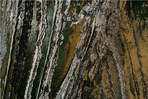 Edward J. Felton | Performance at Auction | MutualArt