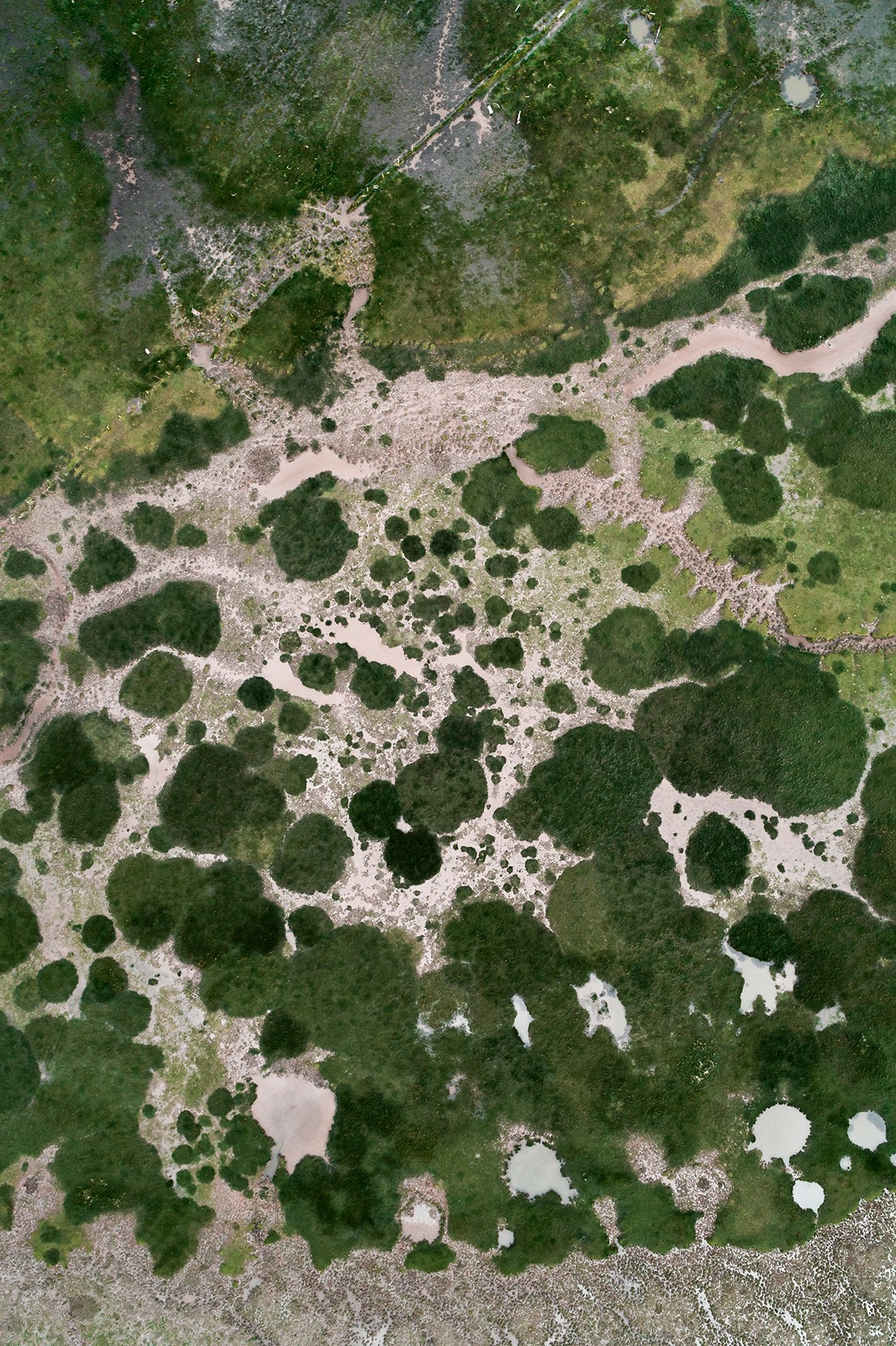 Edward J. Felton | Pilning Wetlands | MutualArt