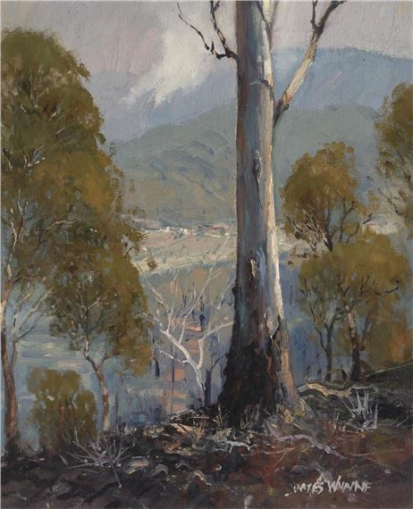 James Wynne | Gum Tree | MutualArt