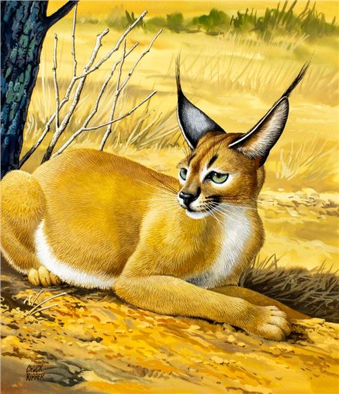 Chuck Ripper | Caracal (1999) | MutualArt