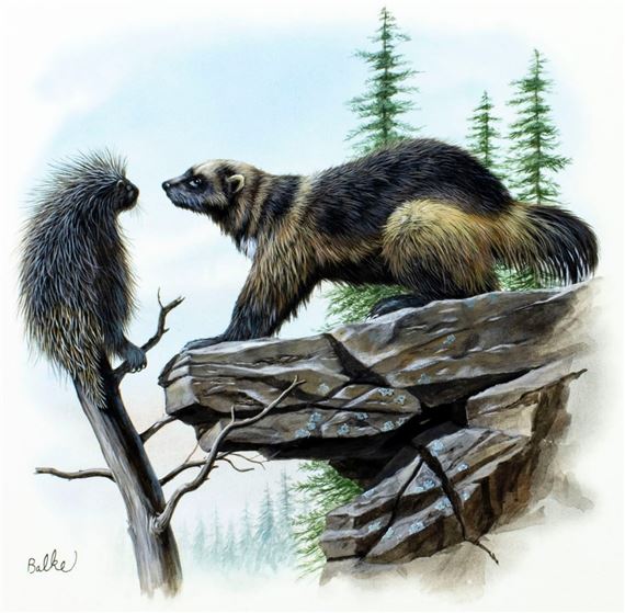 Don Balke | Wolverine (1987) | MutualArt