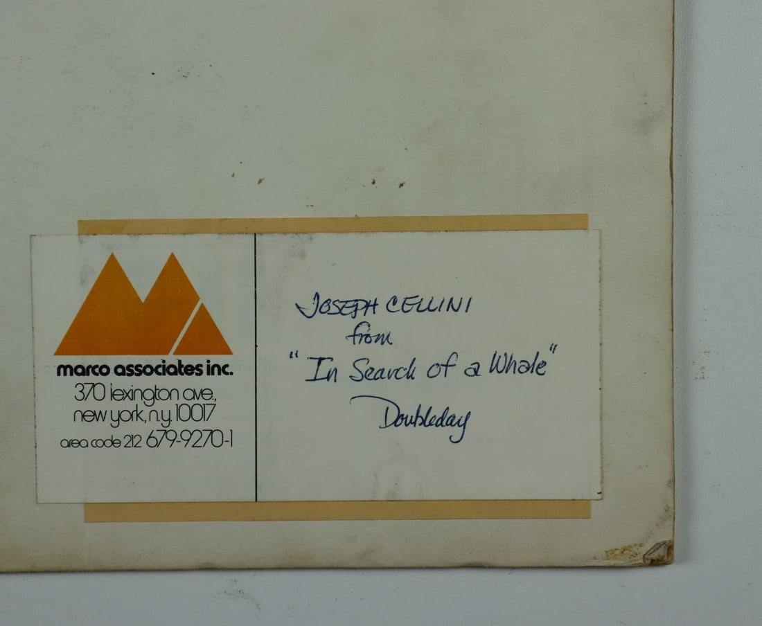 Joseph Cellini | In Search of a Whale | MutualArt