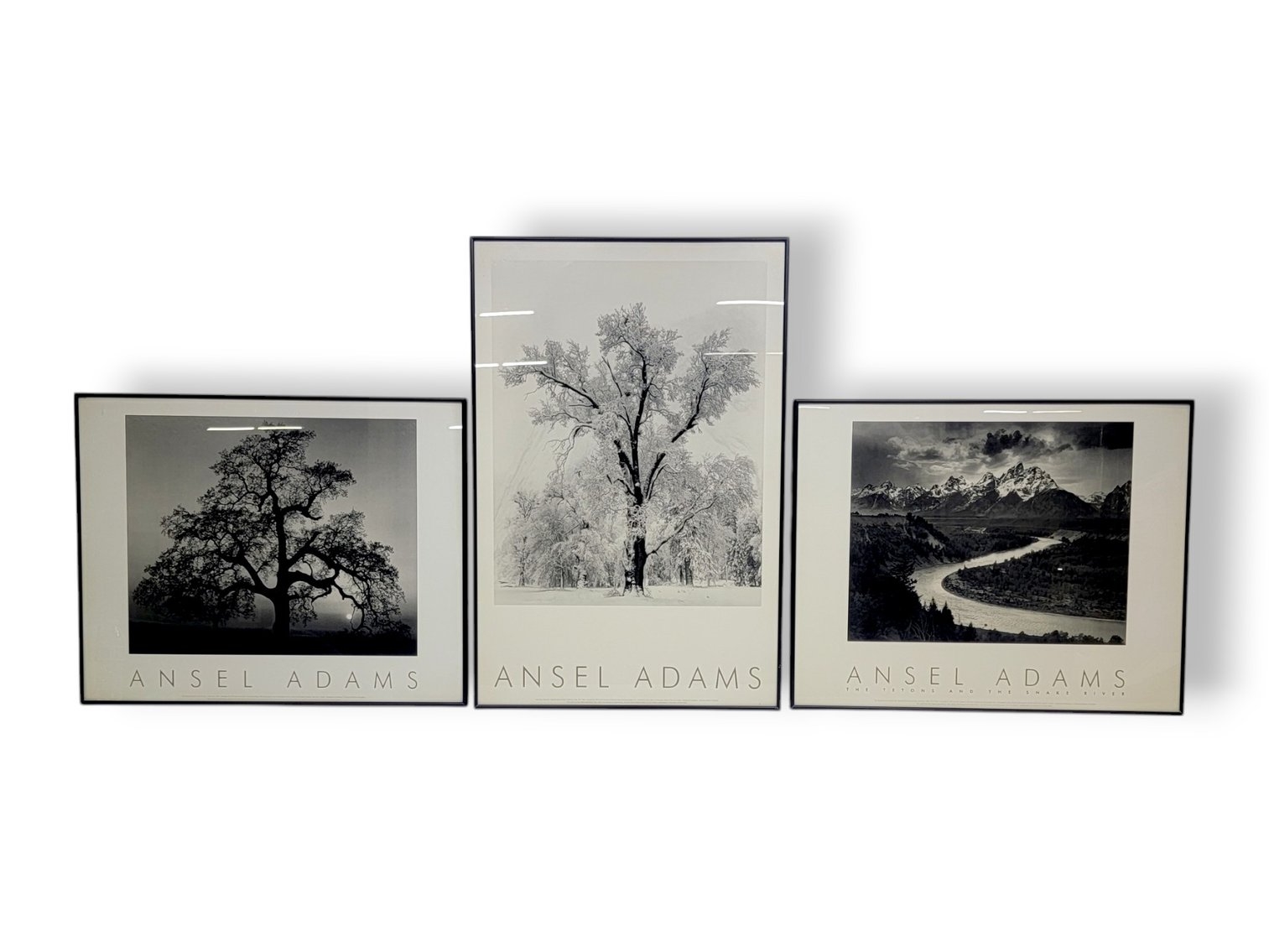 Ansel Adams | The Tetons and the Snake River;Oak Tree, Snowstorm;Oak ...