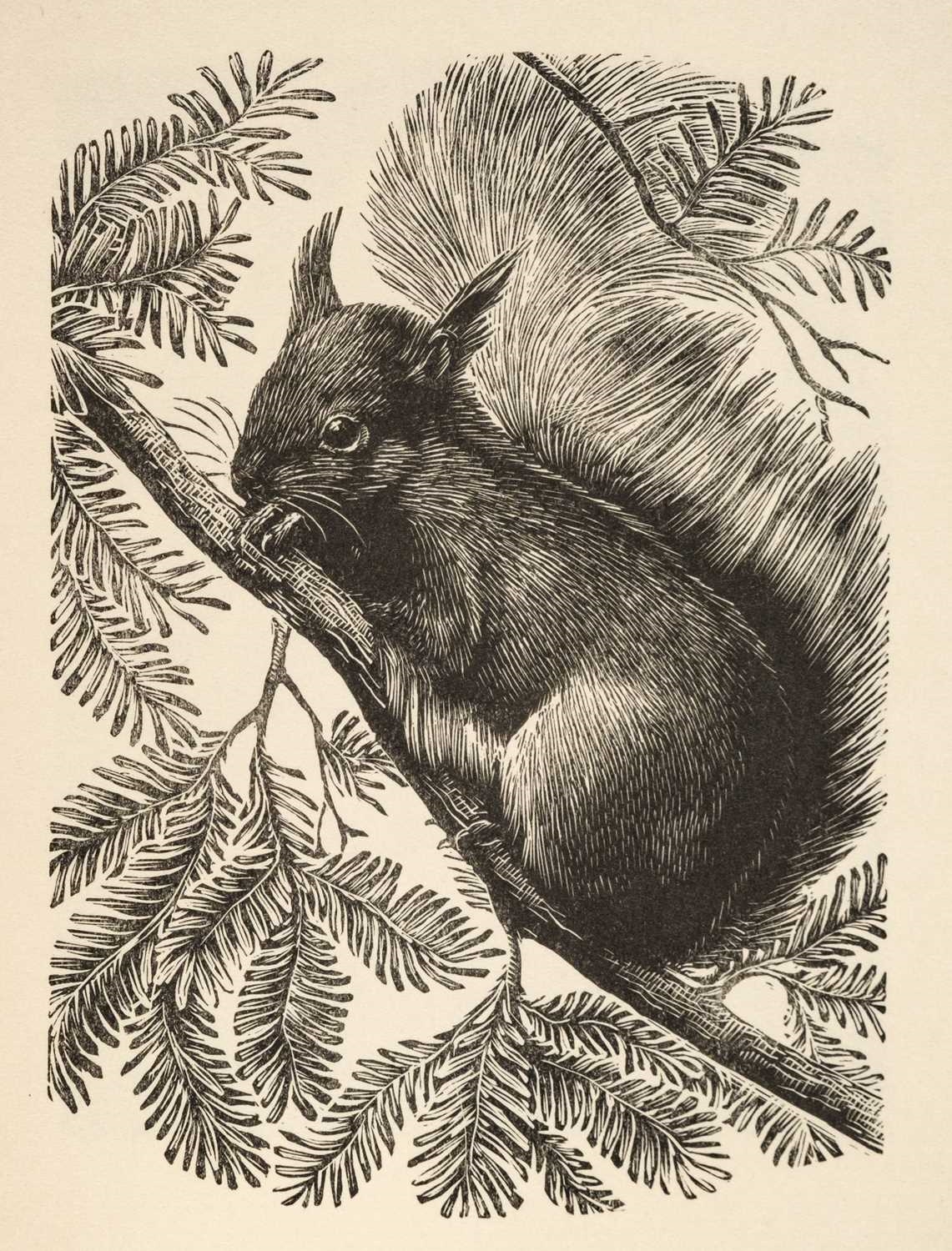 David Chambers | Engravings & Drawings by David Chambers (1979) | MutualArt