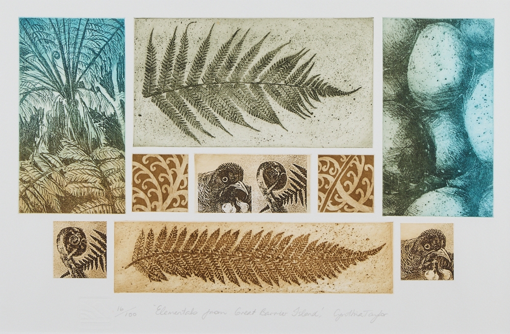 Cynthia Taylor | Elementals from Great Barrier Island | MutualArt