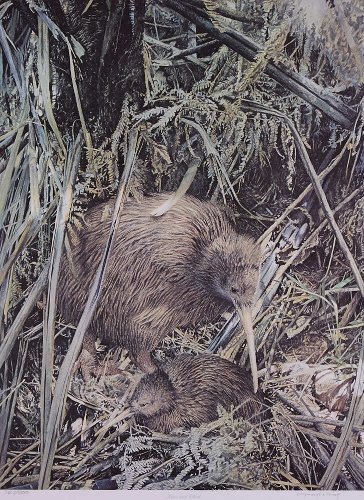 Raymond Harris Ching | Kiwi and Chick | MutualArt