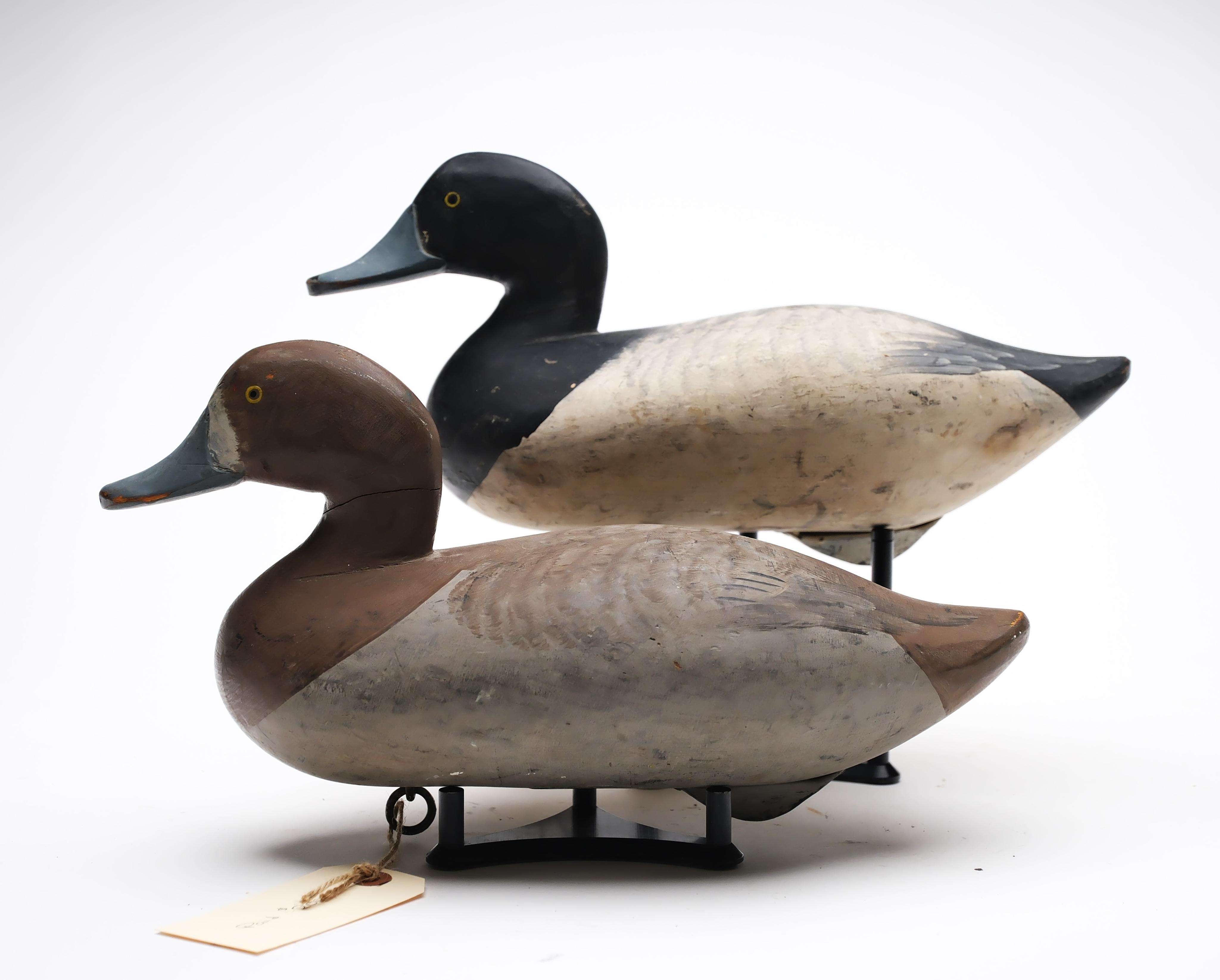 Madison Mitchell | Pair of bluebills | MutualArt