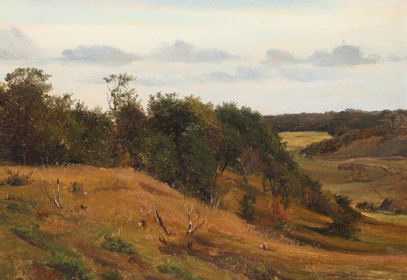 Vilhelm Kyhn | Hilly landscape with vegetation | MutualArt