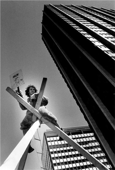 Paul Jones | An environmentalist dressed as a koala on a wooden tripod ...