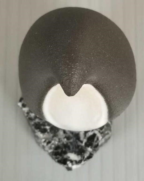 Maigon Daga | Penguin | MutualArt
