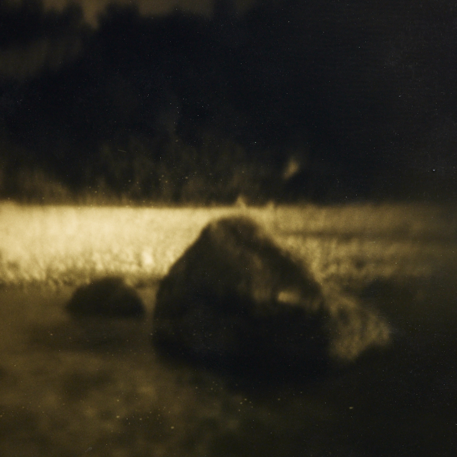 Barbara Ess | Untitled (1991) | MutualArt