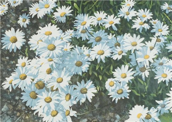 Richard Wardle | Richard Wardle - Shasta Daisies (20th Century) | MutualArt