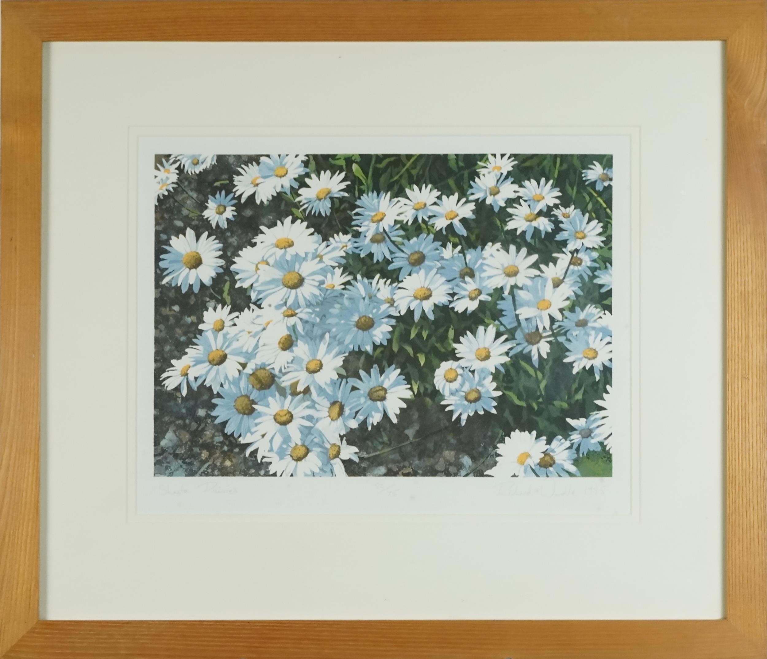 Richard Wardle | Richard Wardle - Shasta Daisies (20th Century) | MutualArt