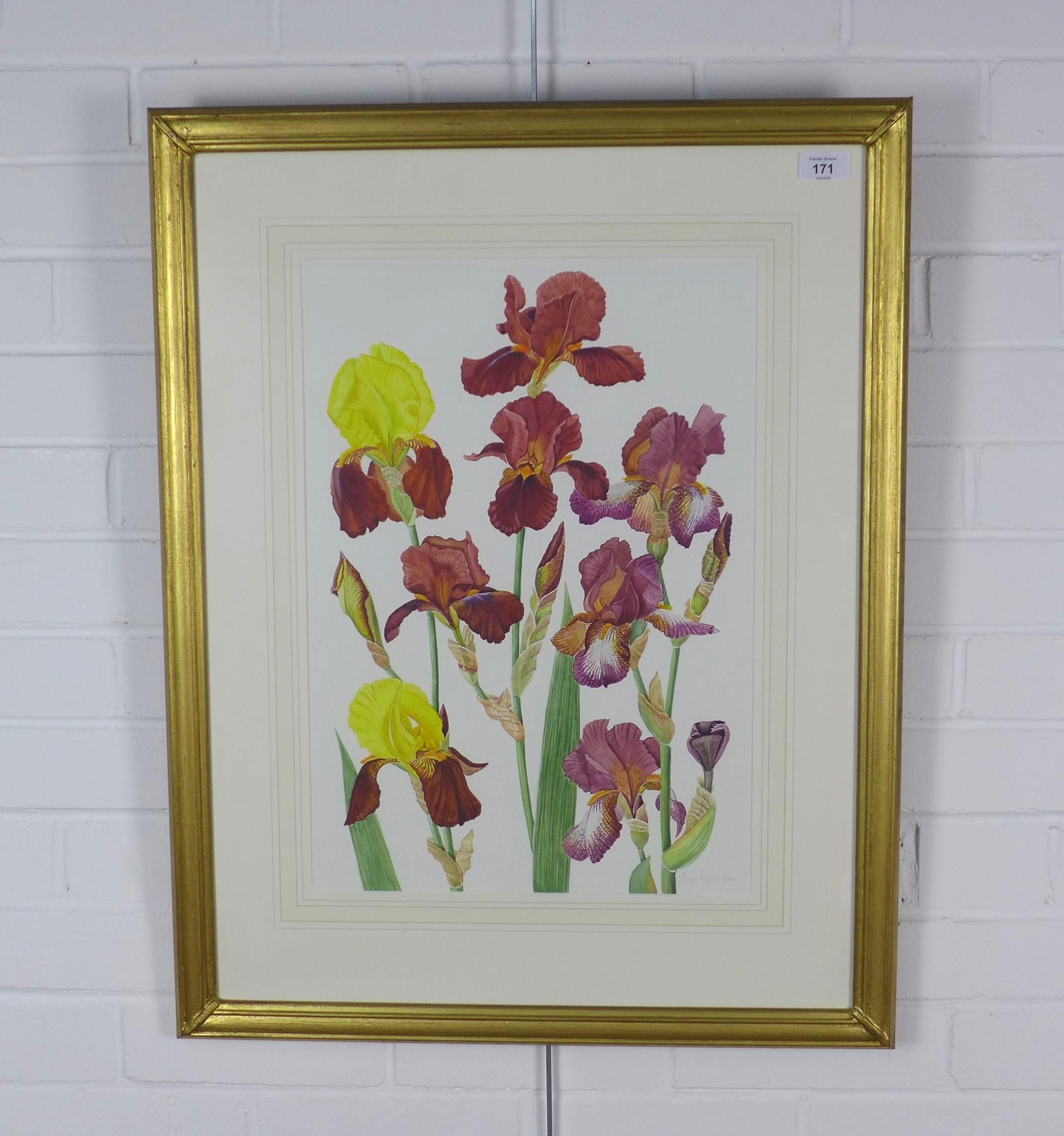 Ann Fraser | watercolour of irises | MutualArt