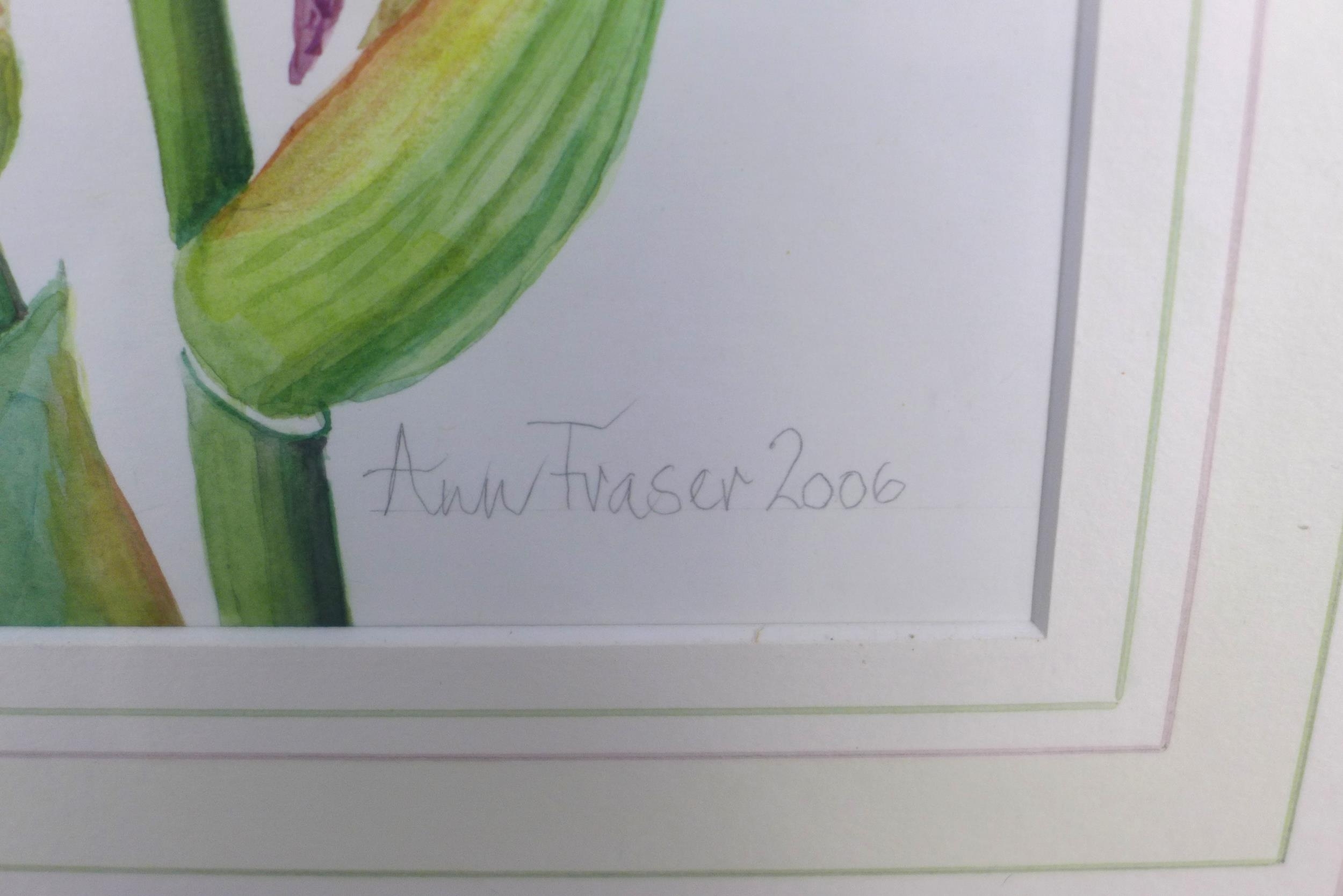 Ann Fraser | watercolour of irises | MutualArt