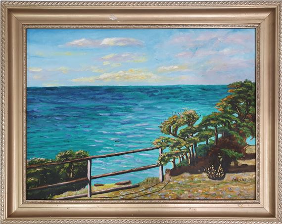 Lisa Chen | Biography