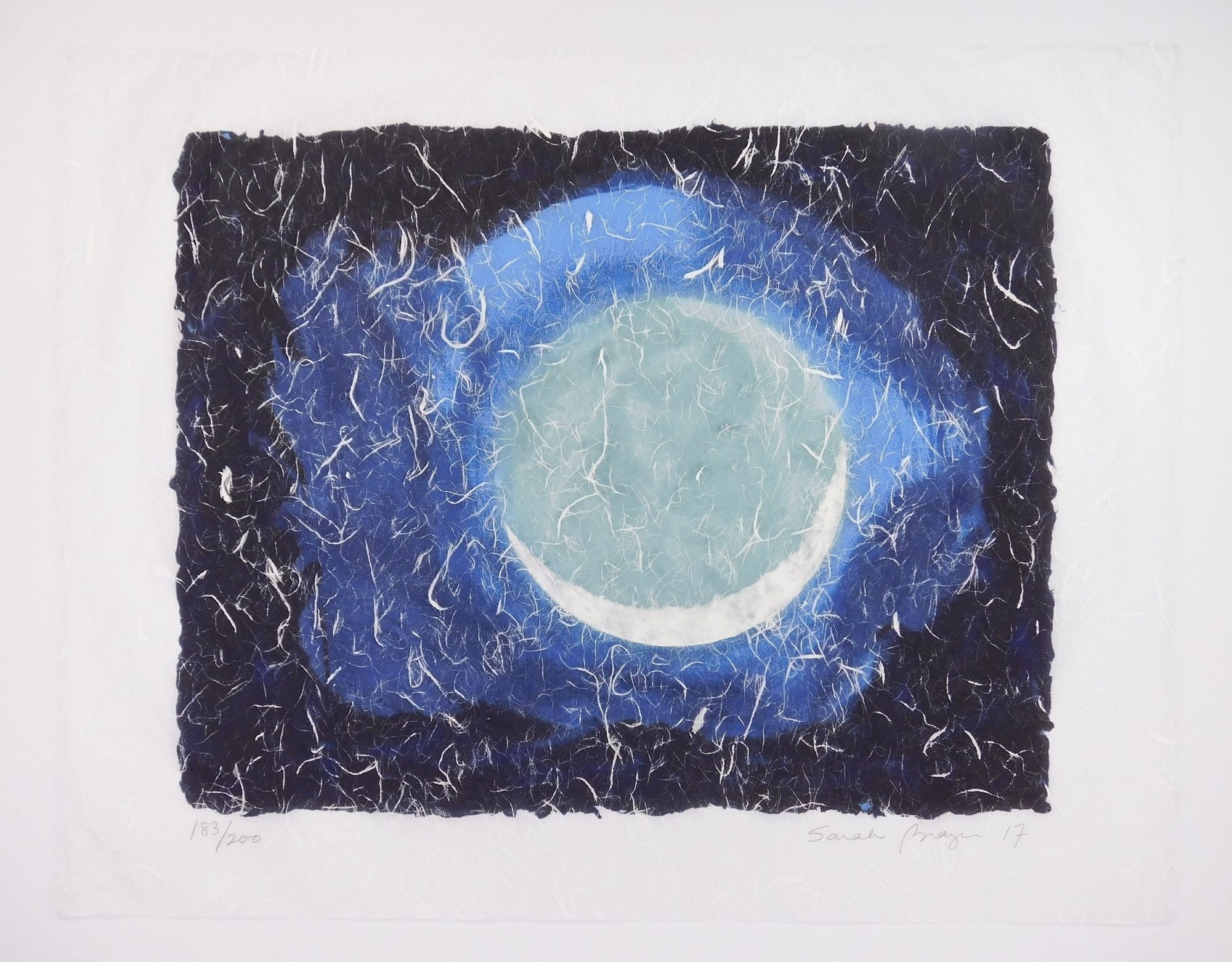 Sarah Brayer | Sarah Brayer (American, 1957- ) silkscreen (2017 ...