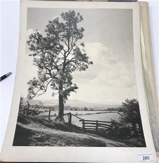 Percy Allen | Biography