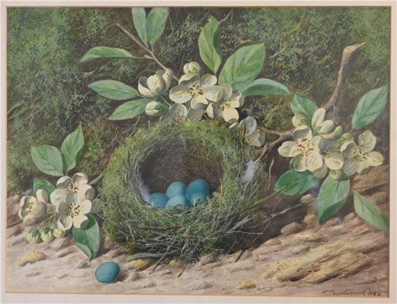 William Cruikshank | : a still life of a birds nest with eggs and ...