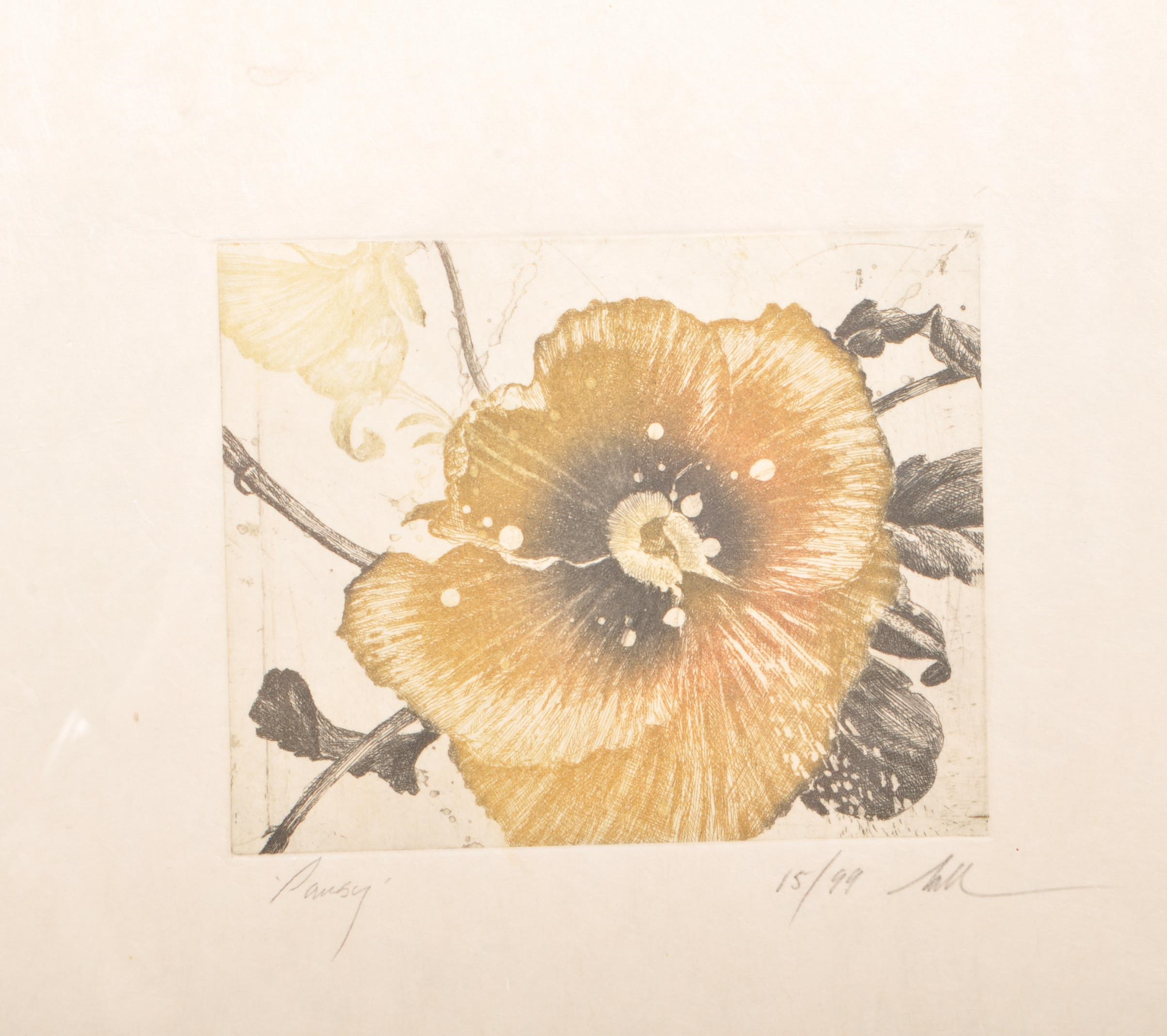 Fred Nall Hollis | Pansy | MutualArt