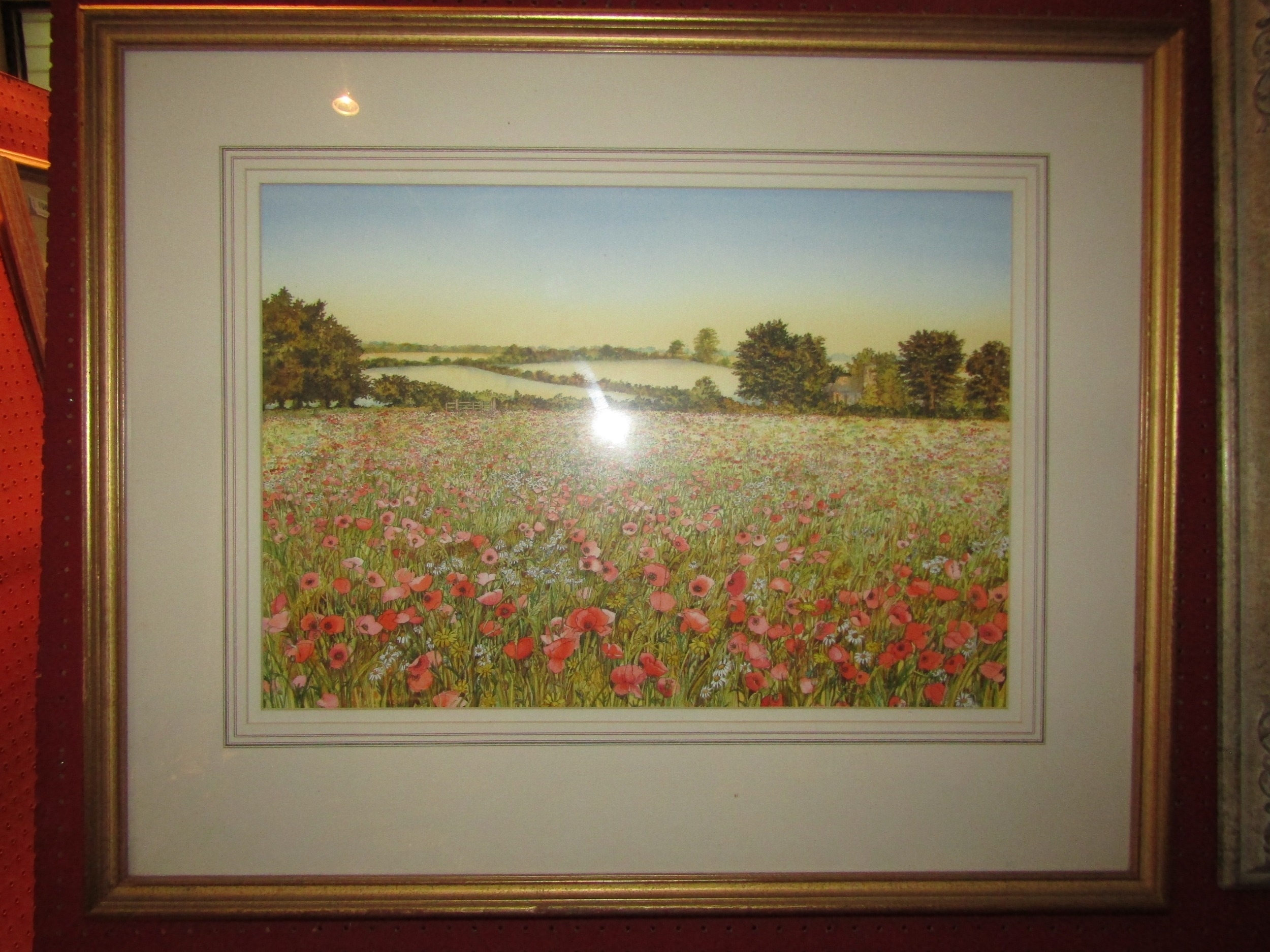 Judi Lamle | Poppies at Fritton | MutualArt