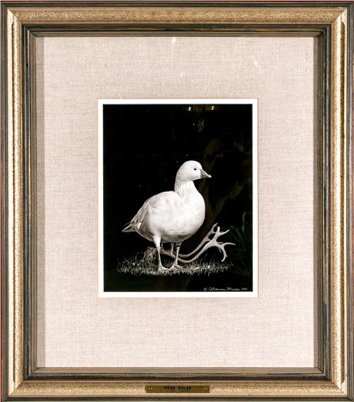 Alderson Magee | Ross' Goose (1981) | MutualArt