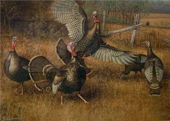 Hayden Lambson | Wings and Spurs | MutualArt