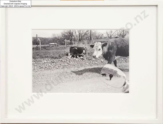 Jim Simmons | 1 Artworks at Auction | MutualArt