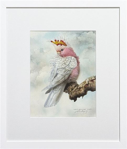 Paul Margocsy | Australian Major Mitchell Cockatoo | MutualArt