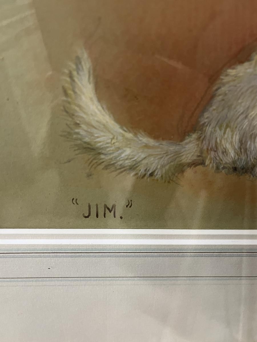 Frank Paton | Frank Paton 1907 Watercolour of dog Jim (1907) | MutualArt