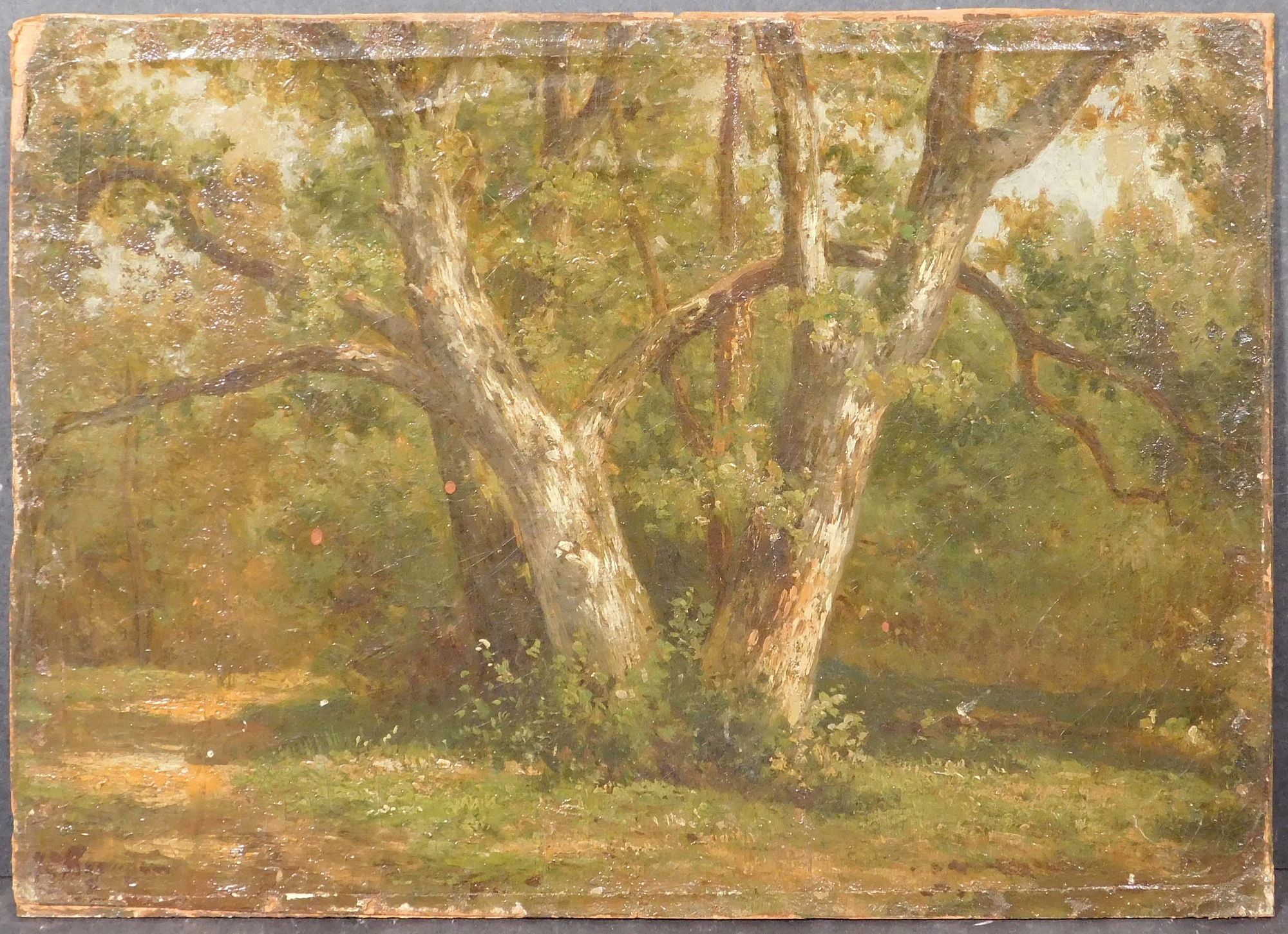 Hermanus Charles Christiaan Bogman | Impressionist Forrest | MutualArt
