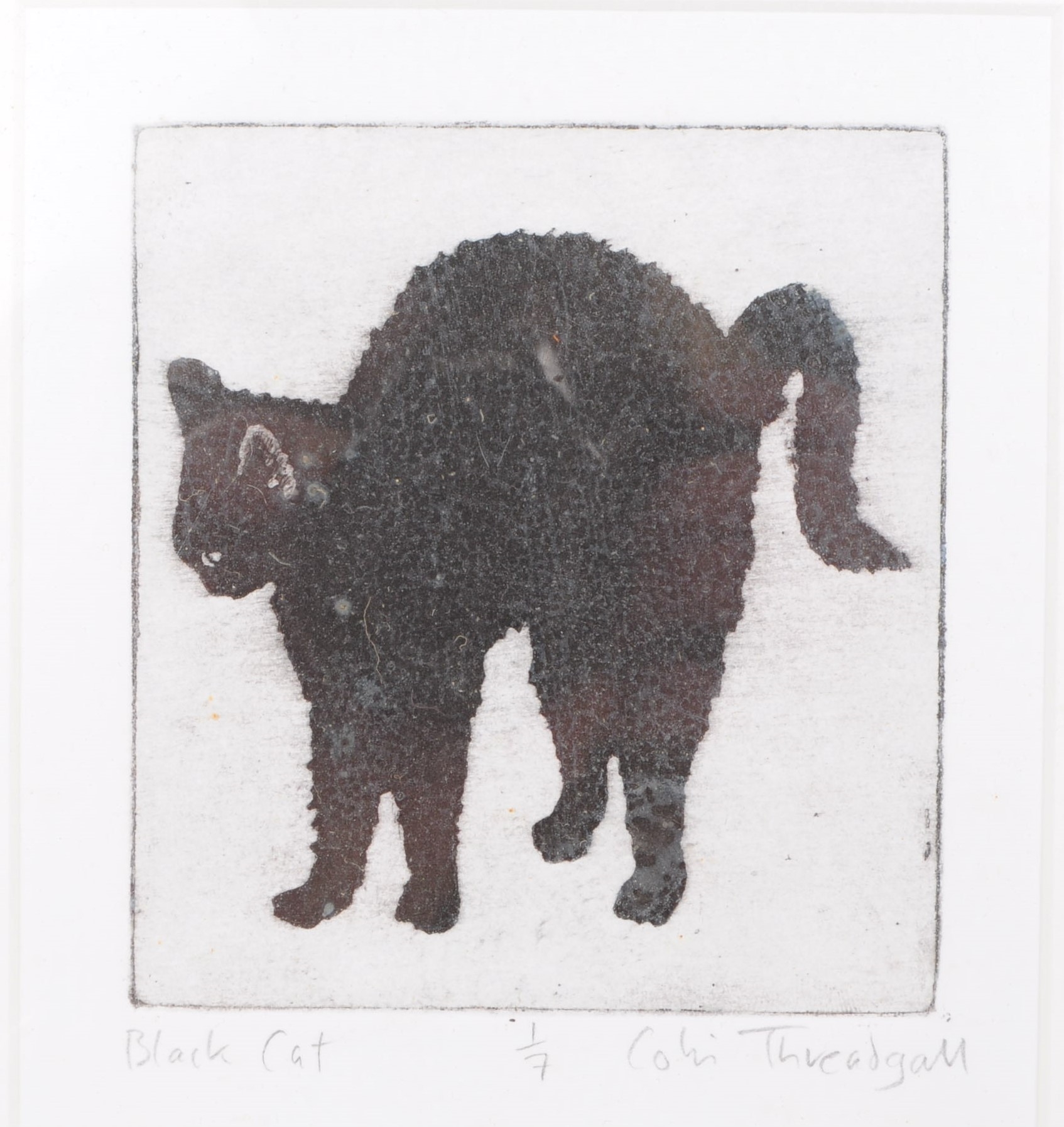 Colin Threadgall | Black Cat (2012) | MutualArt