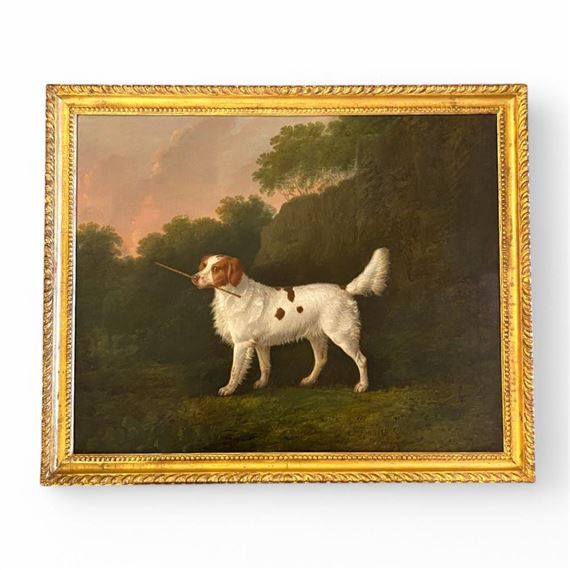 John Boultbee | John Boultbee (British 1753-1812) Study of a spaniel in ...