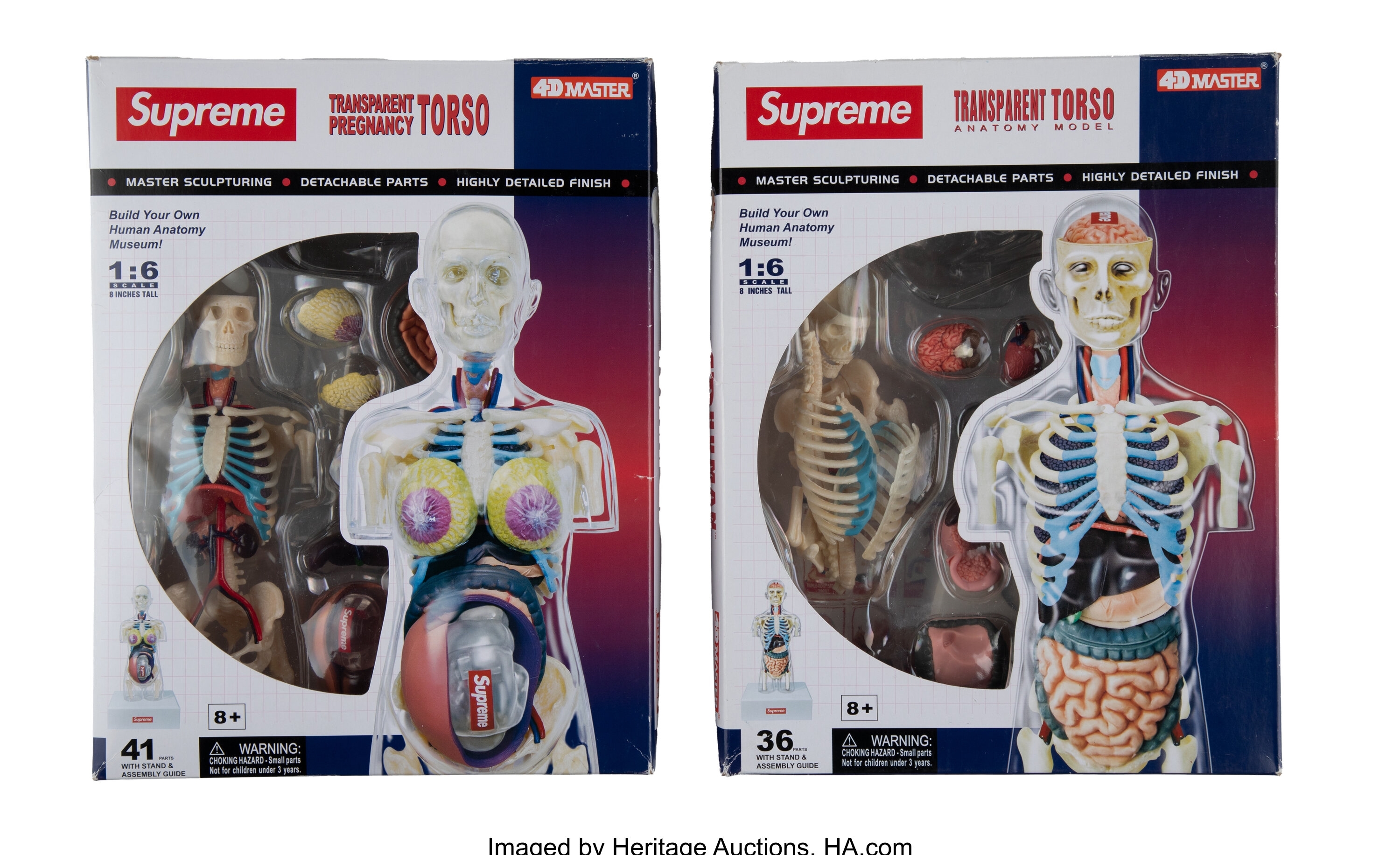 Supreme | Human Anatomy Model, Male & Female (two works) (2018) | MutualArt