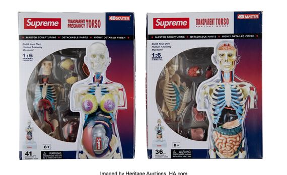 Supreme | Human Anatomy Model (2018) | MutualArt