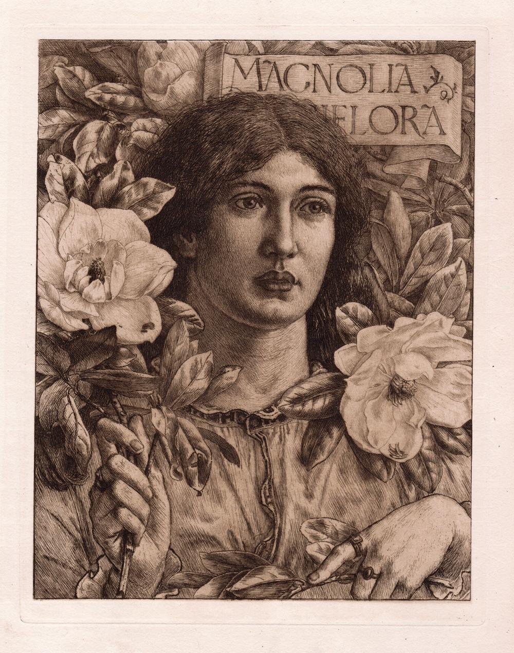 George Woolliscroft Rhead | Magnolia Grandiflora (1885) | MutualArt