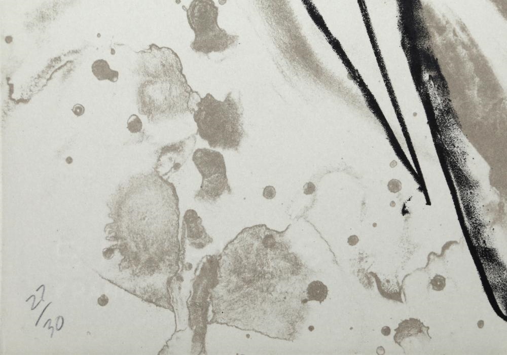 Louisa Chase | ABSTRACT EXPRESSIONIST LITHOGRAPH (1987) | MutualArt