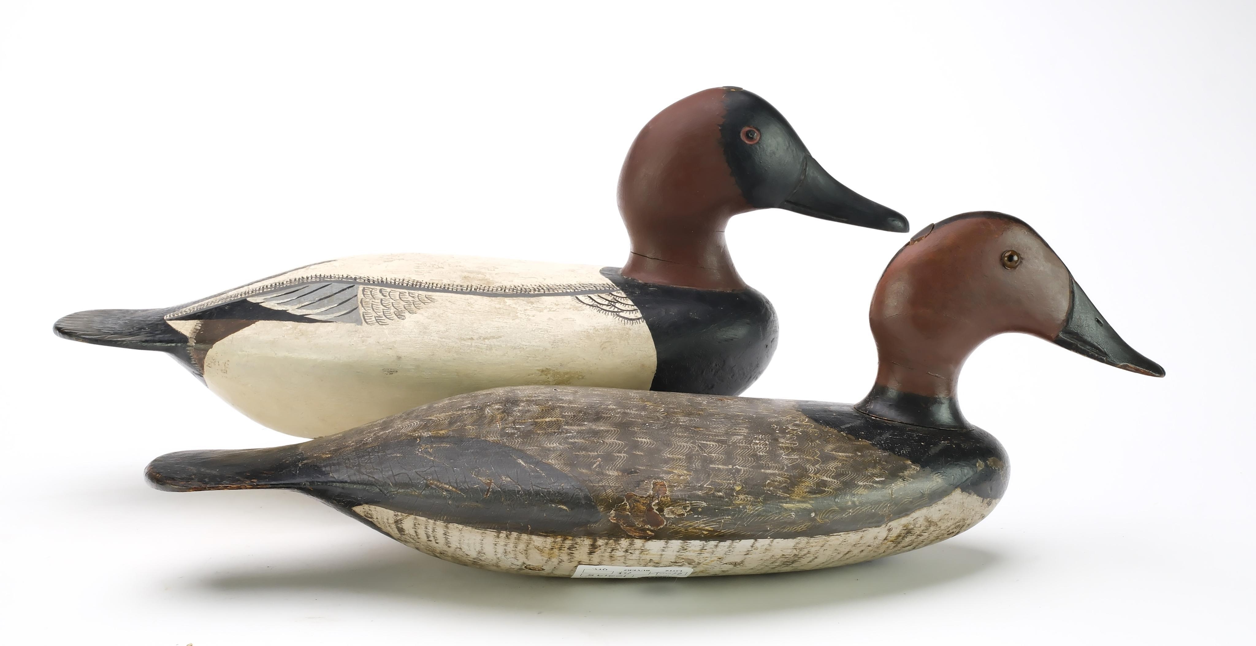Stevens Brothers | Two canvasbacks | MutualArt