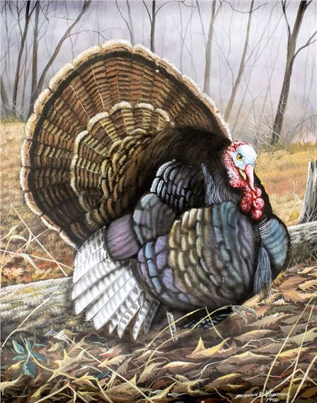 Benjamin P. Vandermark | Tom Turkey (1998) | MutualArt