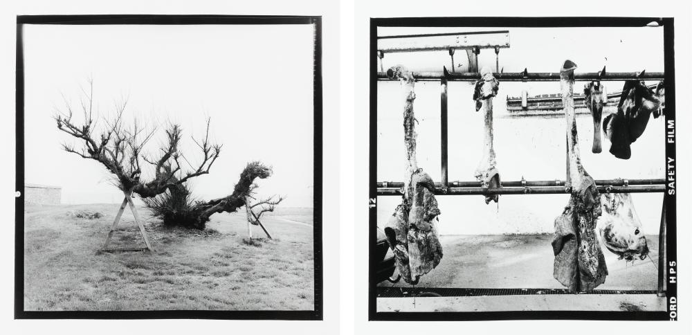 Marc Trivier | Arbre Folkestone (1986) - Partition Bruxelles (1983 ...