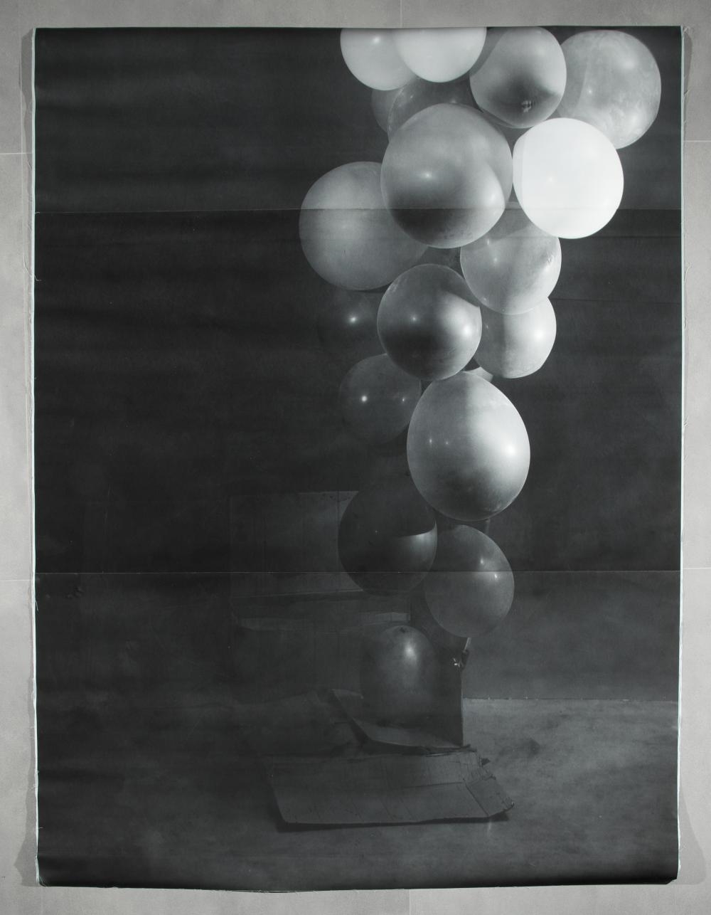 Hannah Collins | Grapes (1989-2015 | MutualArt