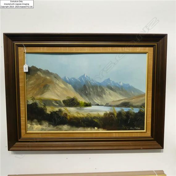 Dan Parlane | 1 Artworks at Auction | MutualArt