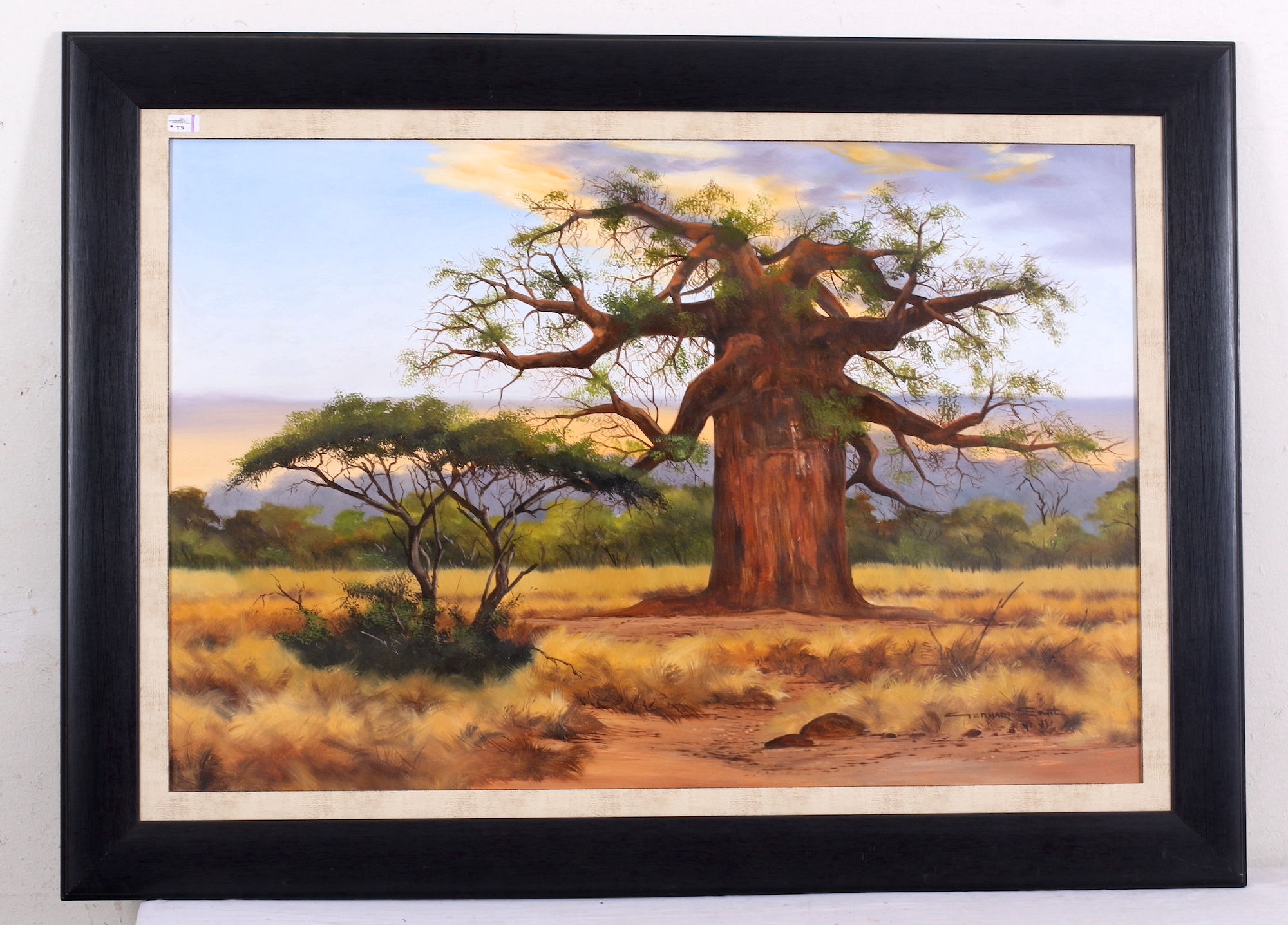 Gerhard Smit | BOABAB TREE | MutualArt