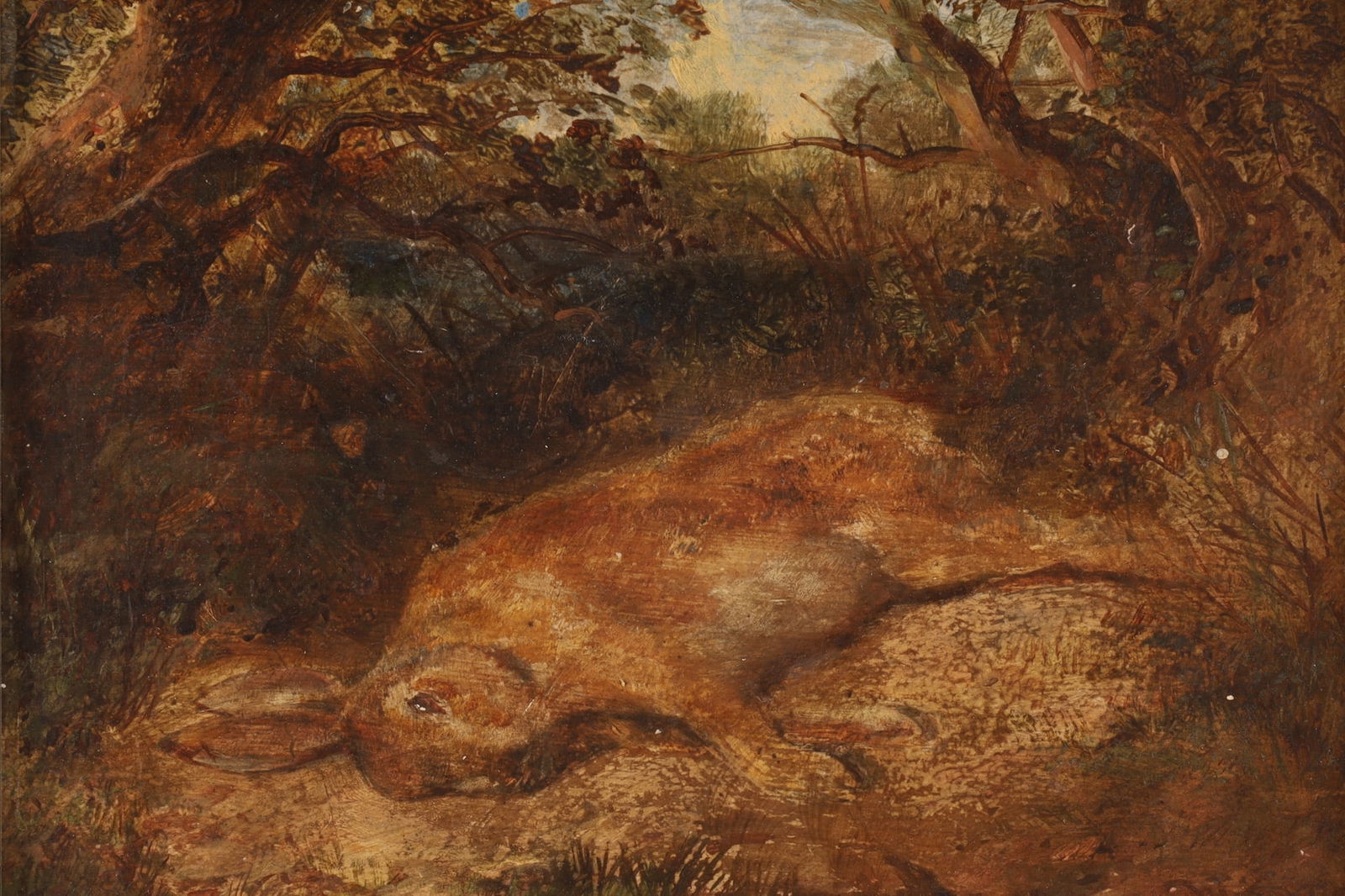 nature | Antique Victorian Nature Morte Signed Hardy | MutualArt